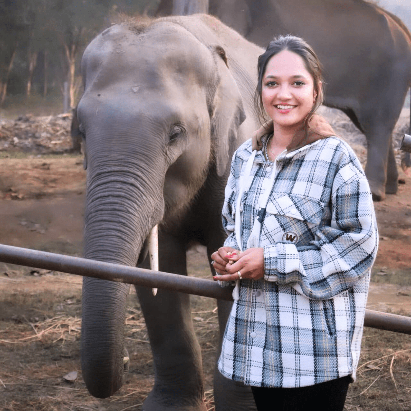 BG INFOTECHS - Your Digital Destination